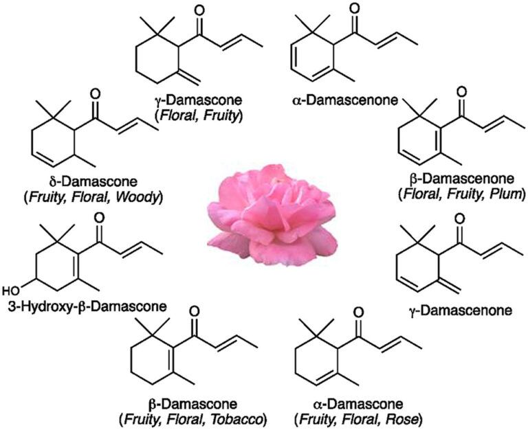 Damascenone - a bed of roses and nuts - Scent Me Free